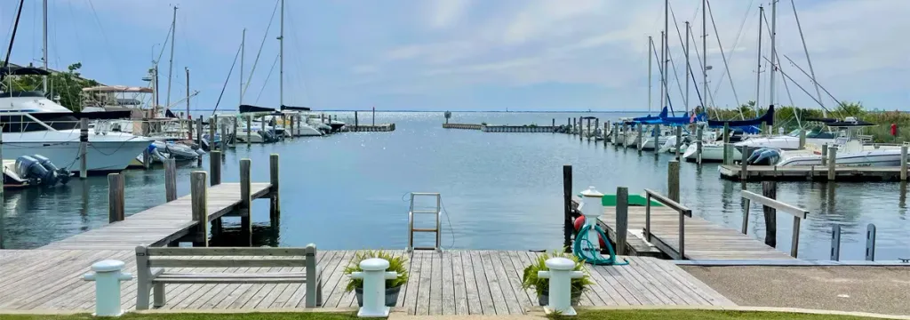 2025 BSYC MEMBERSHIP DUES -Assessment - Cheddar Up