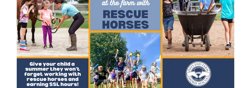 Legacy Summer Camp 2025 - Cheddar Up