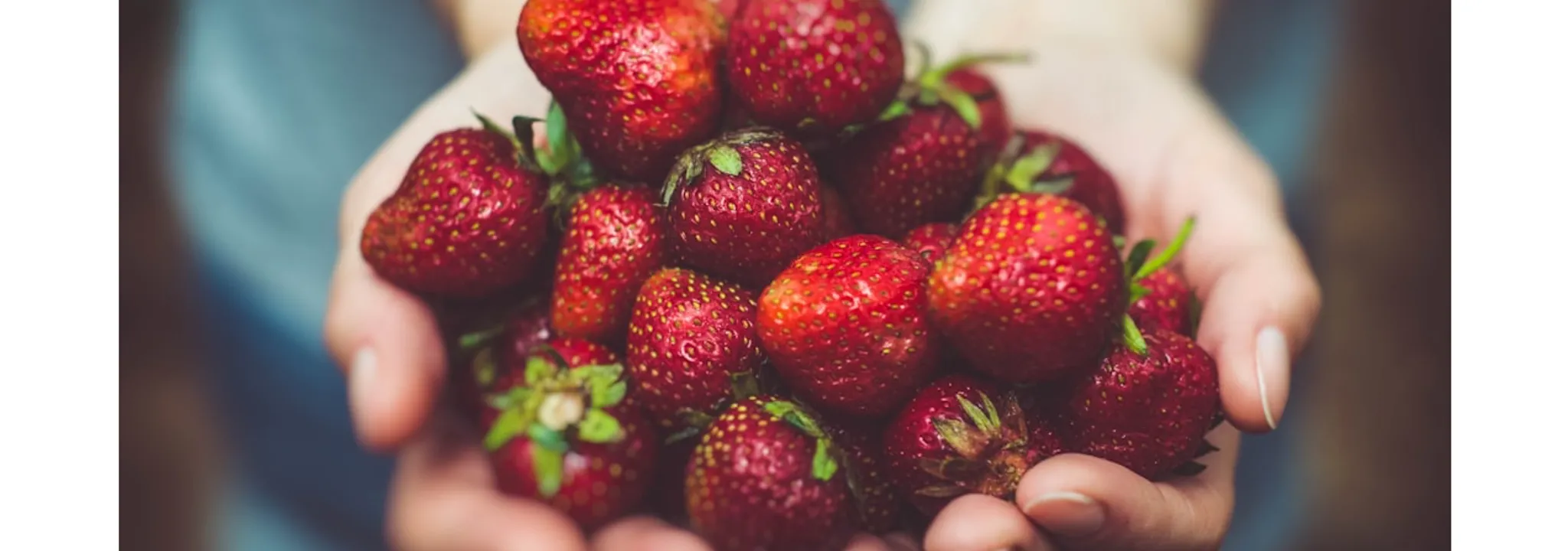 Nourishing Minds: The Role of Nutrition in ADHD, ASD, and Learning ...