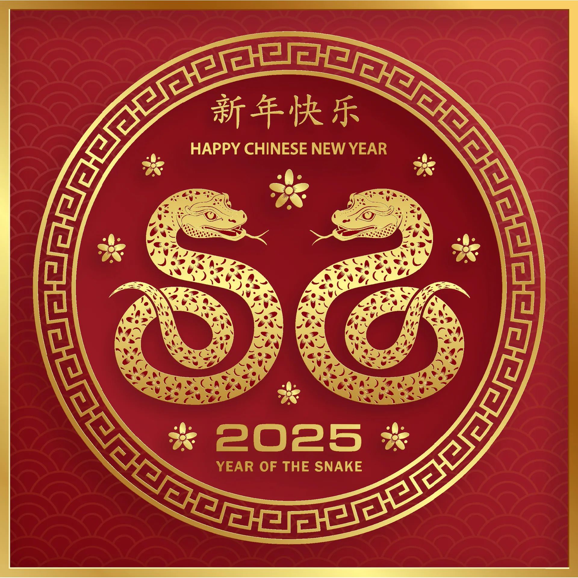 ACA Chinese New Year 2025 | Cheddar Up